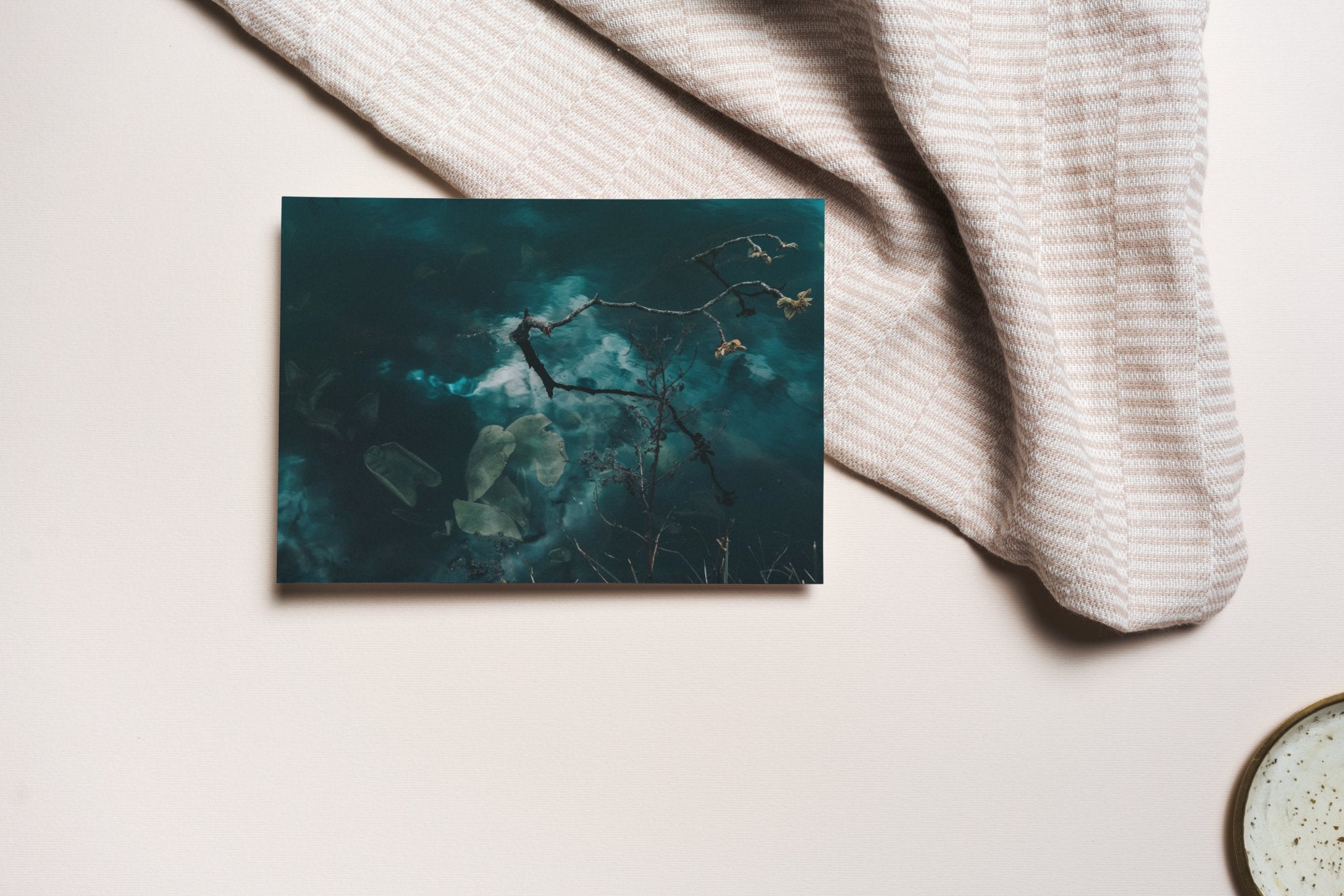 Maak kennis met ons Support Gift Pack – Solid Stash