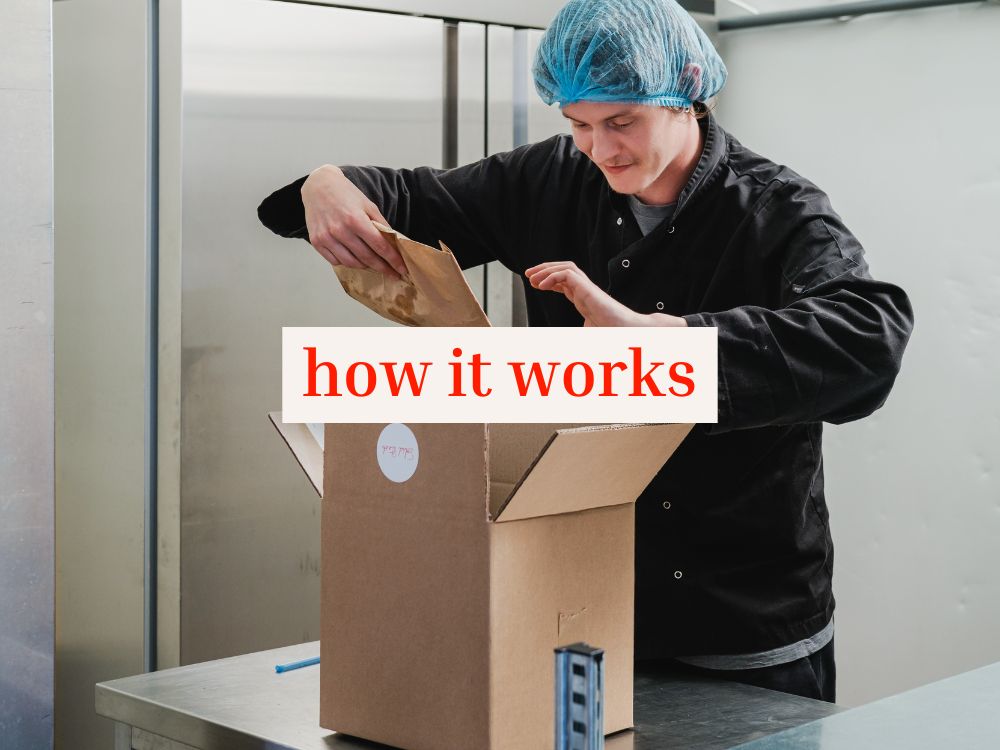 Home delivered vegan frozen meals – Solid Stash