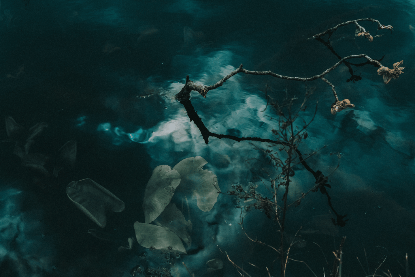 Partners – Solid Stash